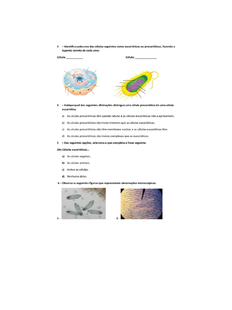 Células Ficha | PDF