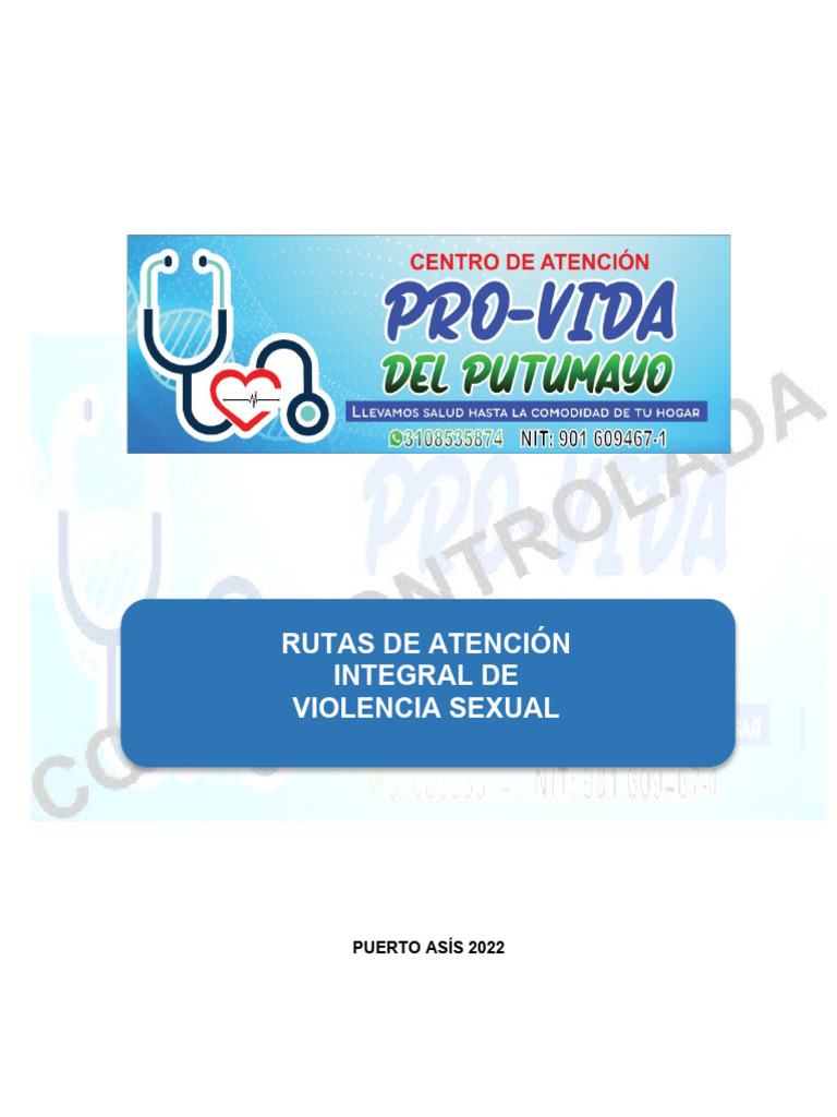 Guia Rutas de Atencion Integral de Violencia Sexual | PDF | Violencia ...
