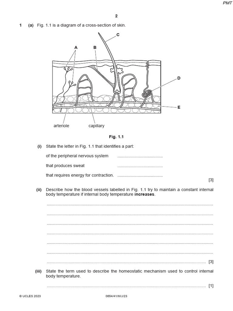 June 2023 (v1) QP - Paper 4 CAIE Science IGCSE | PDF | Chemical ...