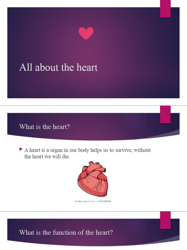 Heart Health: Functions, Foods, and Exercise | PDF