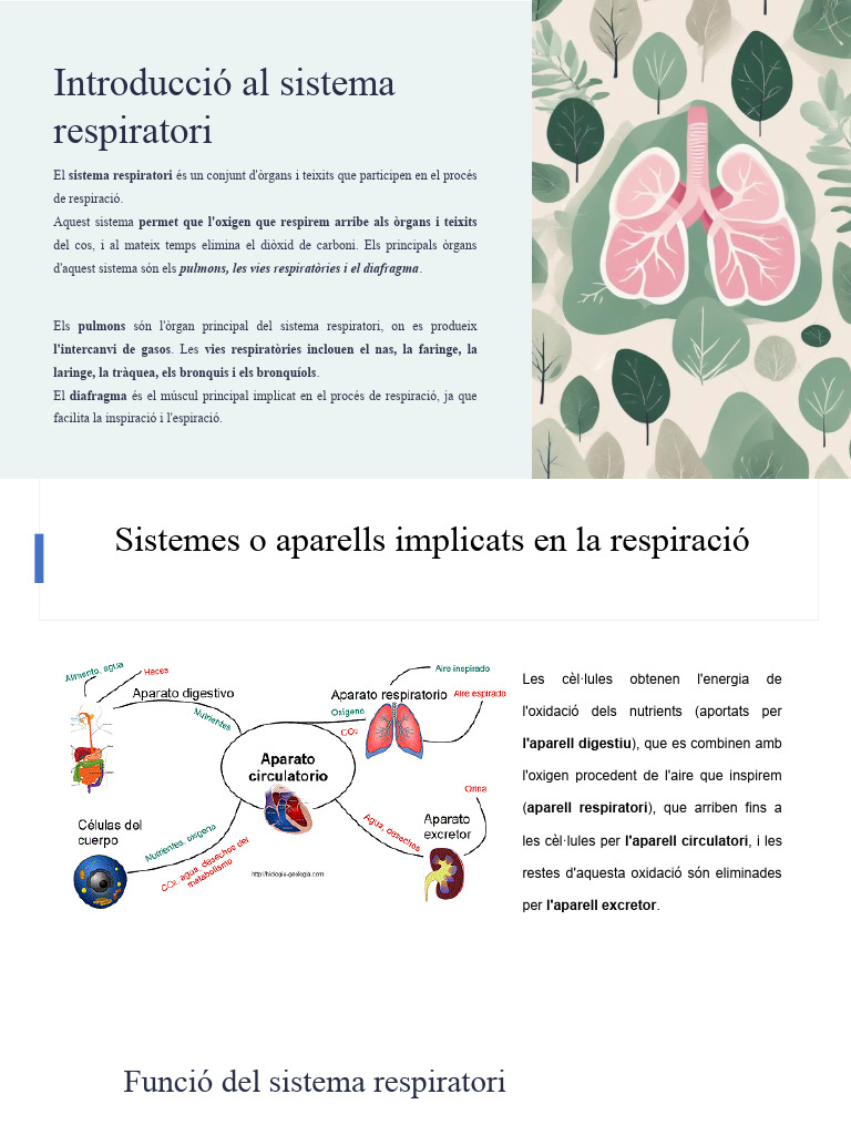 Aparell Respiratori | PDF