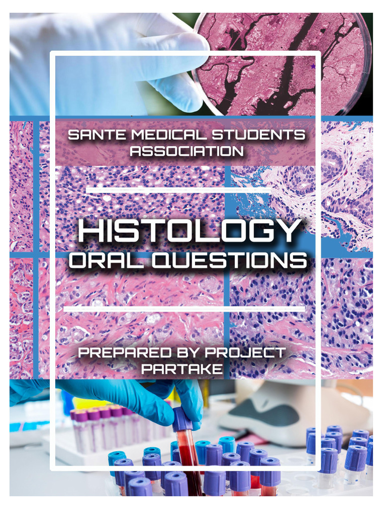 Histology Final File | PDF | Epithelium | Stomach