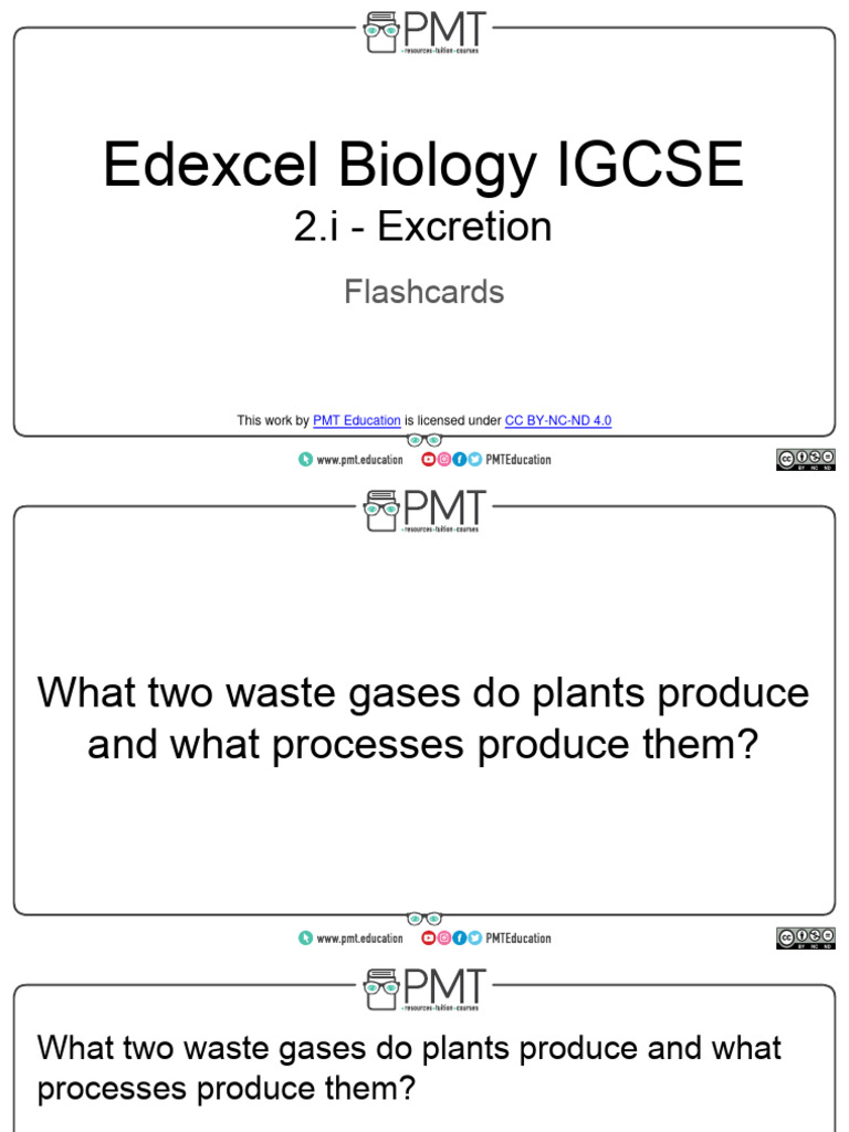 Flashcards - 2i Excretion - Edexcel Biology IGCSE | PDF | Kidney ...