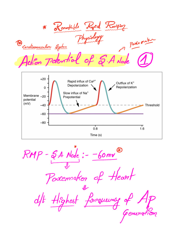 Physio Rr Notes Pdf Hyperthyroidism Physiology