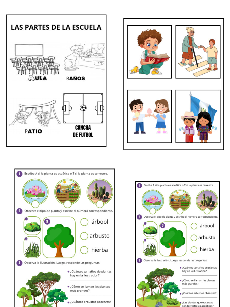 TAREAS Actividades | PDF | Plantas | Botánica