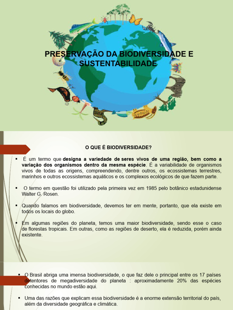 Preservação Da Biodiversidade e Sustentabilidade 9 Ano | PDF ...