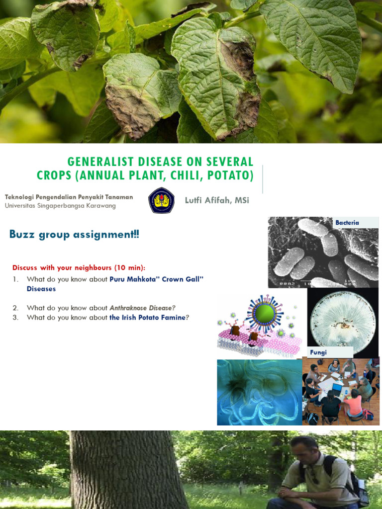 TPP 8. Generalist Disease On Annual, Chili, Potato | PDF | Biology ...