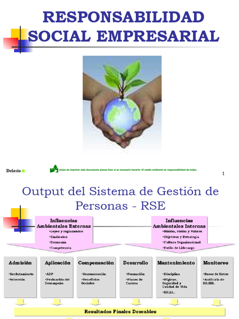 00 - SUBSISTEMAS Y RESPONSABILIDAD SOCIAL EMPRESARIAL - CARLOS DELASIO | PDF | Responsabilidad ...