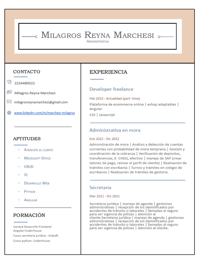CV Reyna Marchesi Milagros | PDF