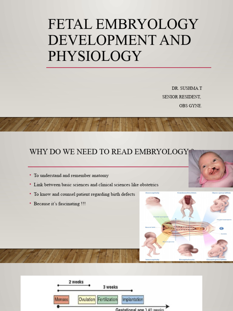 Fetal Embryology 1 | PDF | Prenatal Development | Reproduction