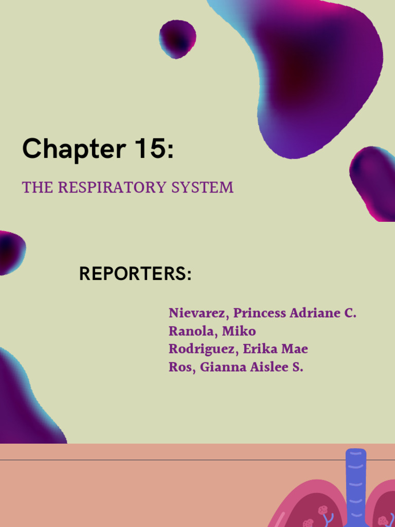 Respiratory System Pdf Respiratory Tract Lung