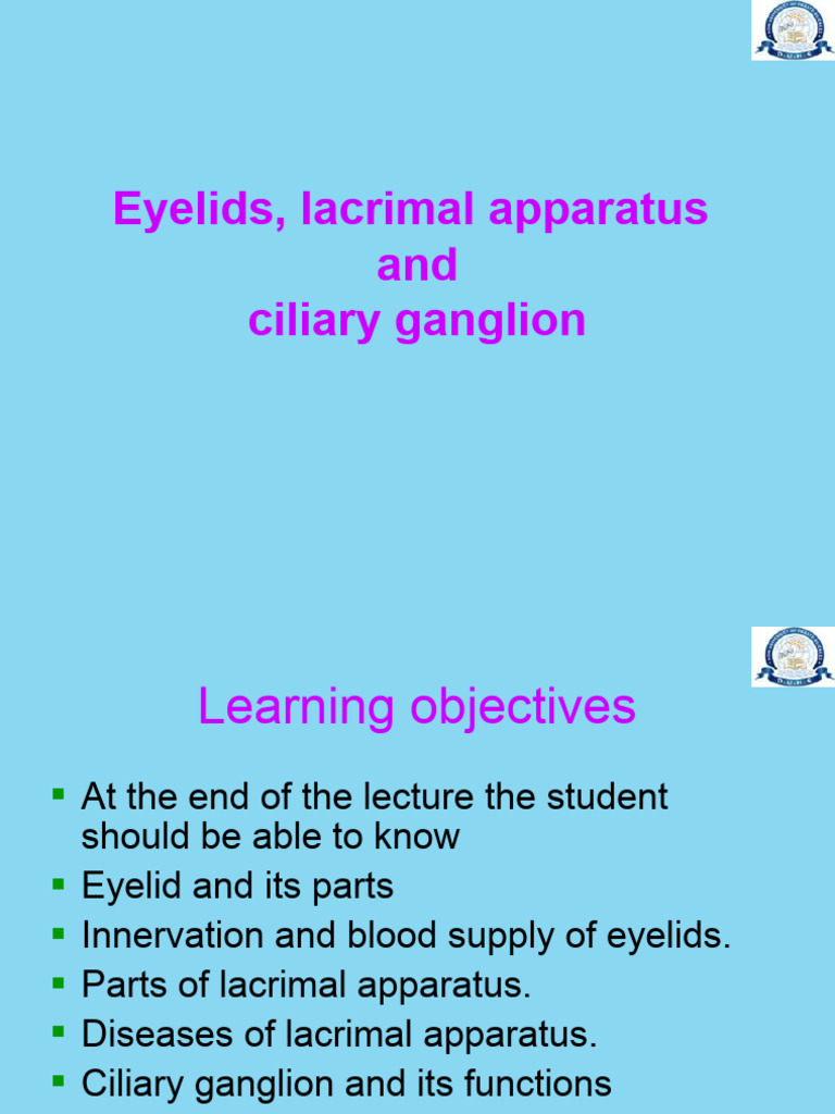H & N 6th Week Eyelids, Lacrimal Apparatus and Ciliary Ganglion | PDF ...
