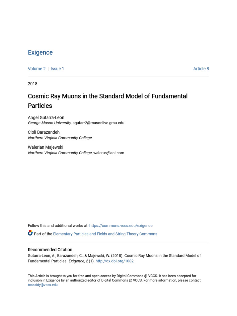 Muon Decay and The Standard Model | PDF | Neutrino | Particle Physics