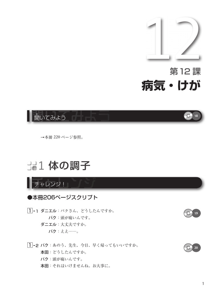 12 Dekiru Nihon Go | PDF