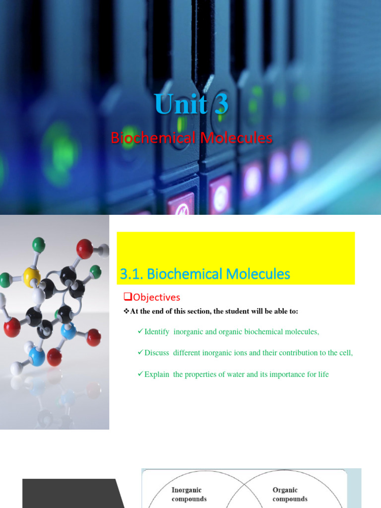 Grade 10 Biology Short Note Unit Three Biochemical Molecule | PDF | Rna | Nucleic Acids