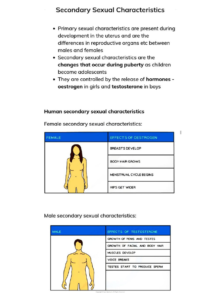 Hormonal Control | PDF