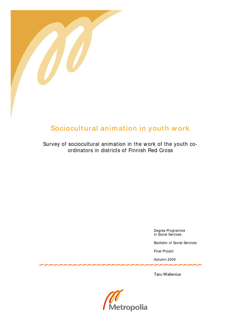 Sociocultural Animation in Youth Work | PDF | Sociocultural Evolution ...