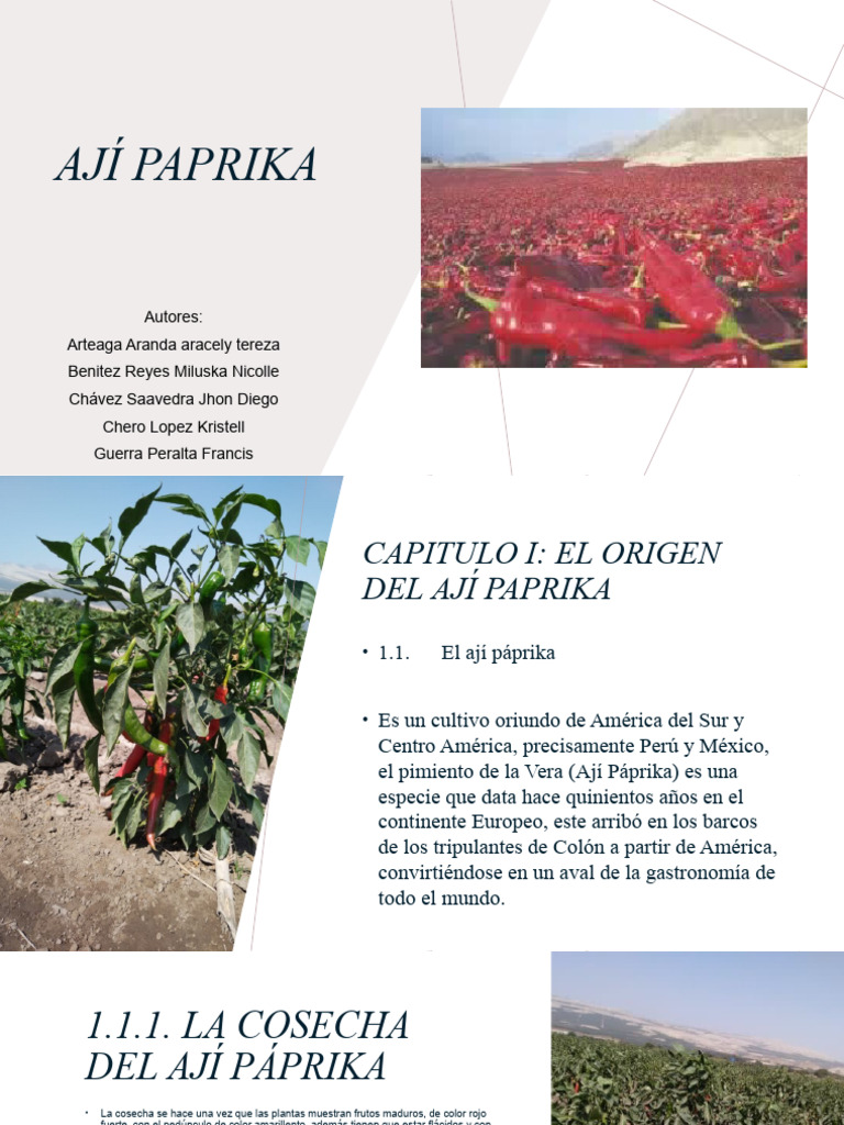 Aji Paprika | PDF | Pimenton | Ají picante