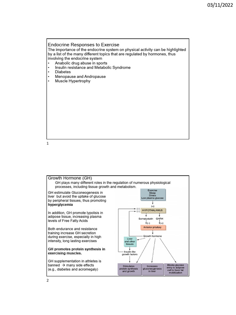 04-Endocrine Responses To Exercise | PDF | Cortisol | Insulin