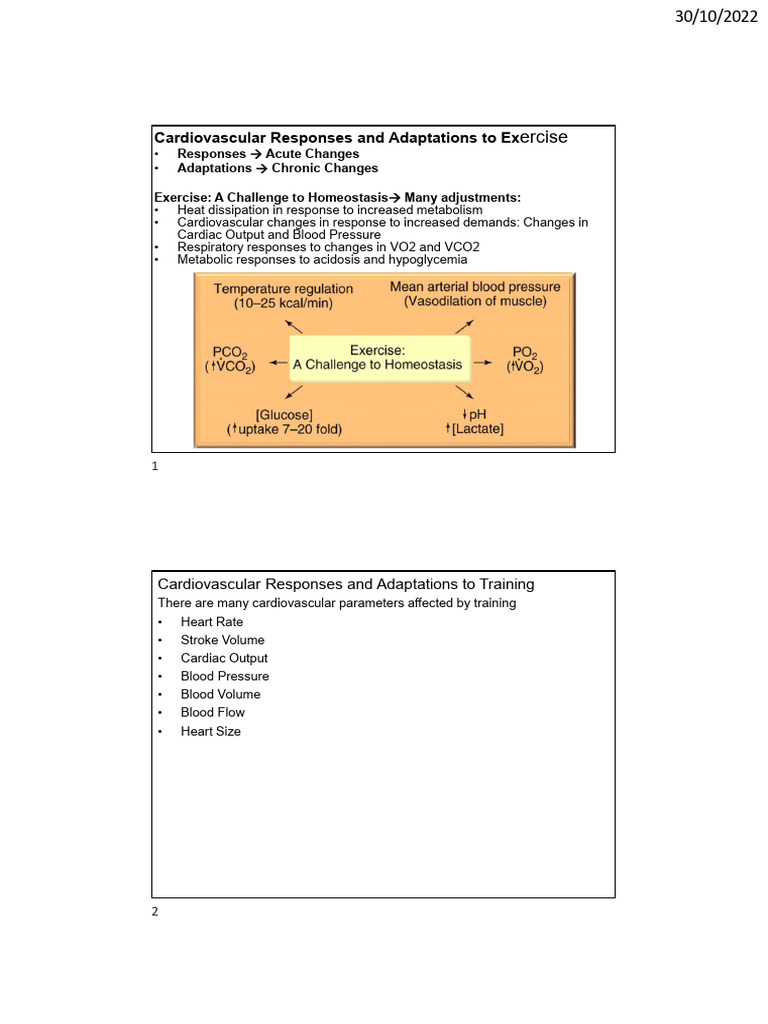 Cardiovascular Exercise Adaptations Explained | PDF | Diastole | Heart