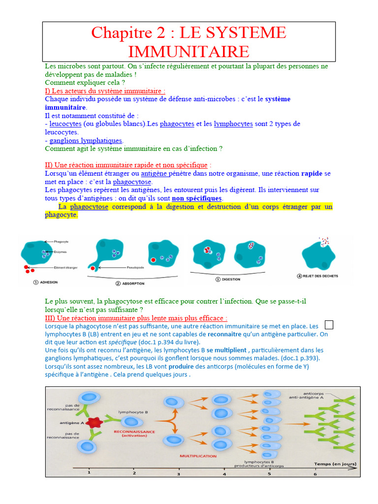 Comprendre le Système Immunitaire 3ème | PDF | Système immunitaire ...