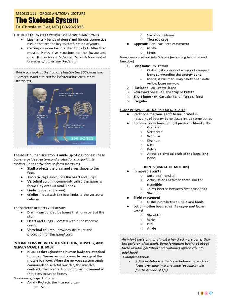 II. The Skeletal System (Dr. Clet) | PDF | Skeleton | Bone