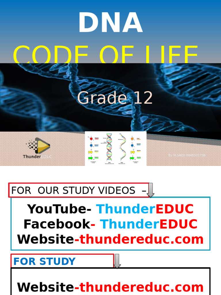 Dna Code of Life-1 | Download Free PDF | Rna | Dna