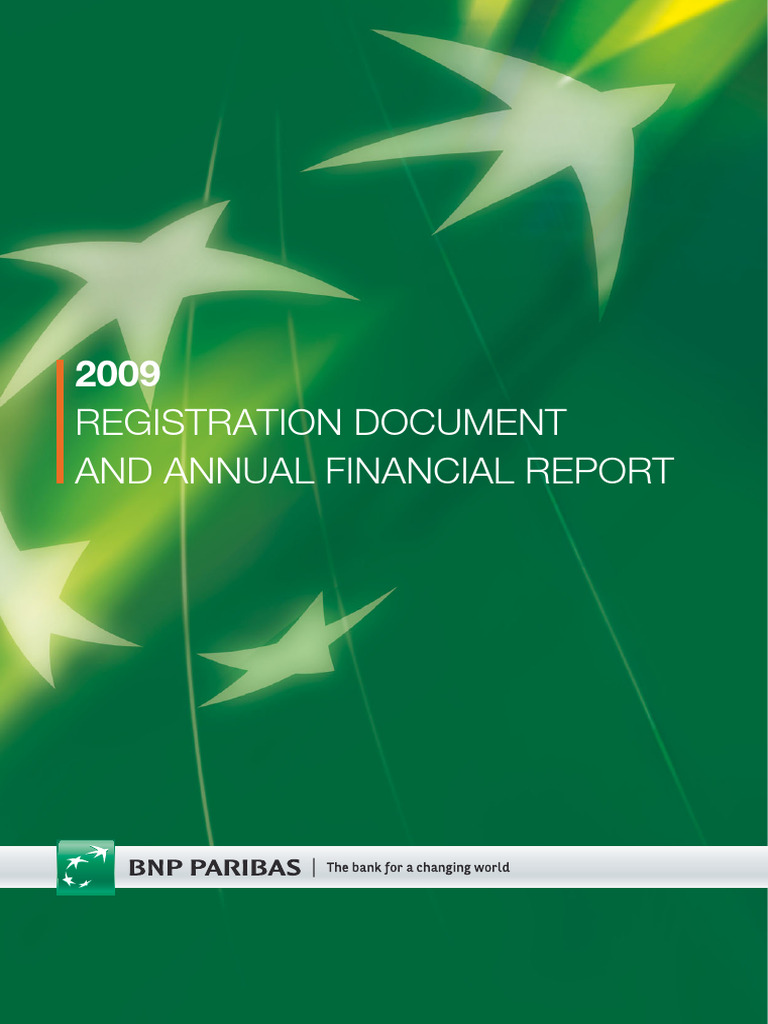 BNP Paribas 2009 Financial Report | PDF | Bnp Paribas | Banks