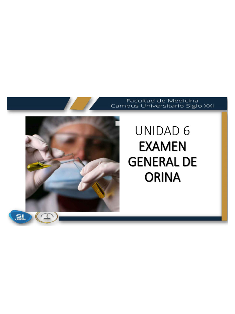 Presentación EGO Examen General de Orina | PDF | Especialidades Medicas ...