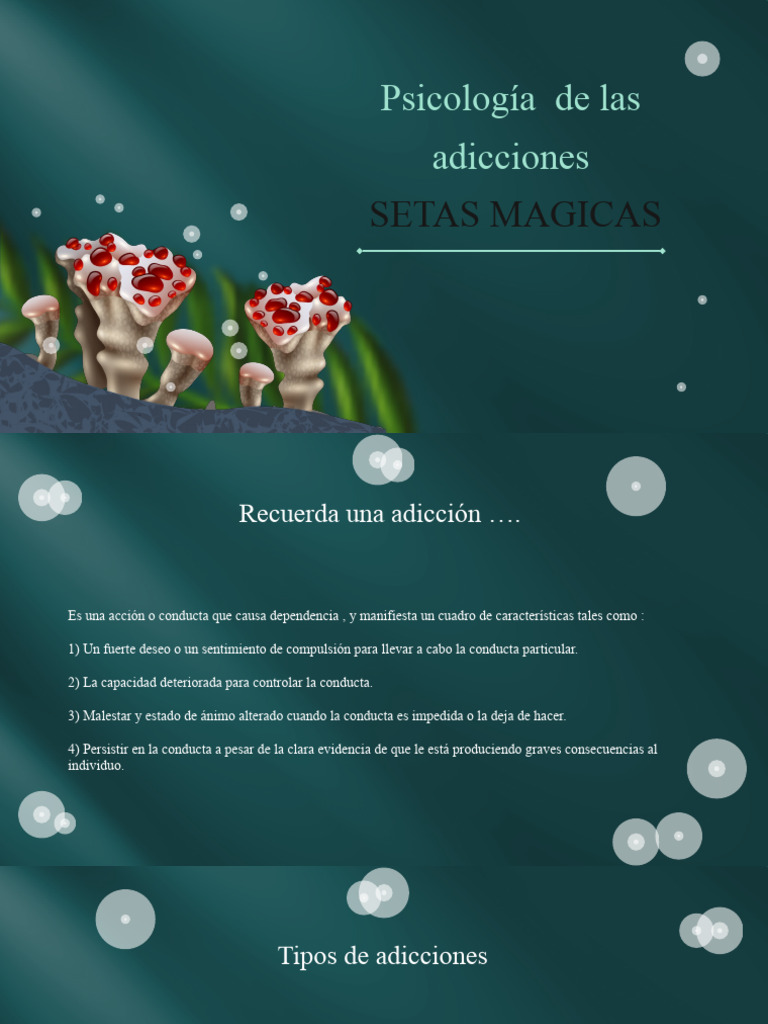 setas magicas | PDF | Psilocibina | La dependencia de sustancias