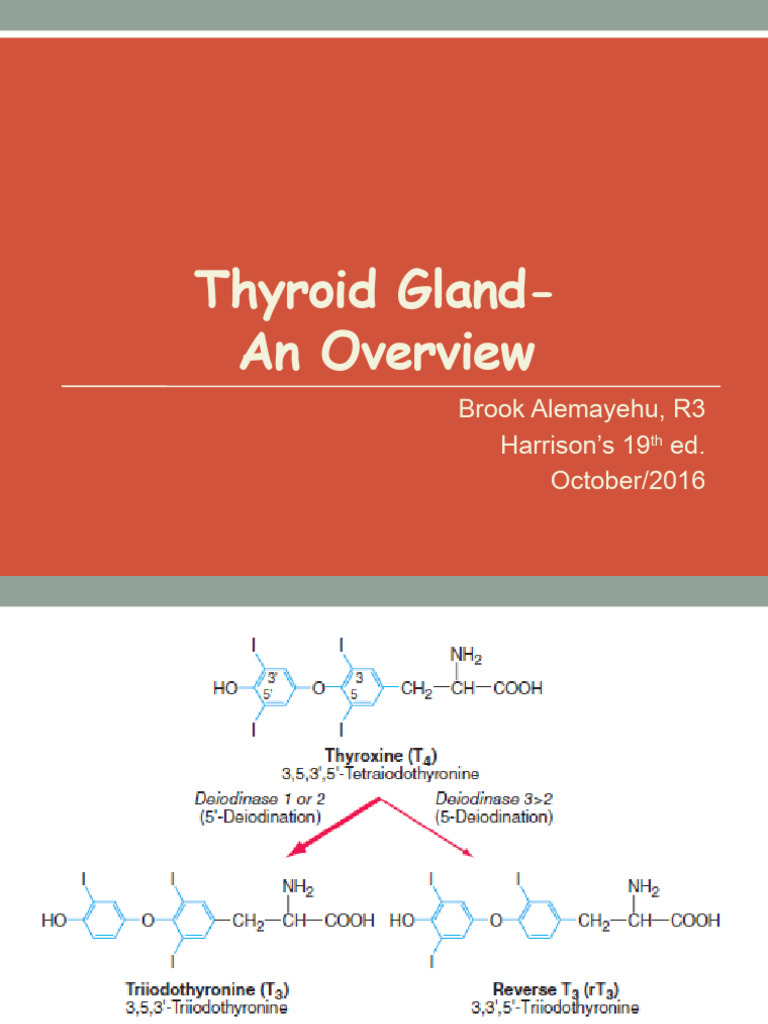 Thyroid Disorders-An Overview | PDF | Thyroid Stimulating Hormone ...