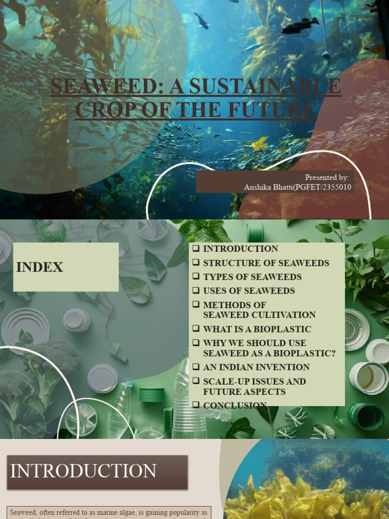 Seaweed: Sustainable Future Crop Insights | PDF | Algae | Agriculture