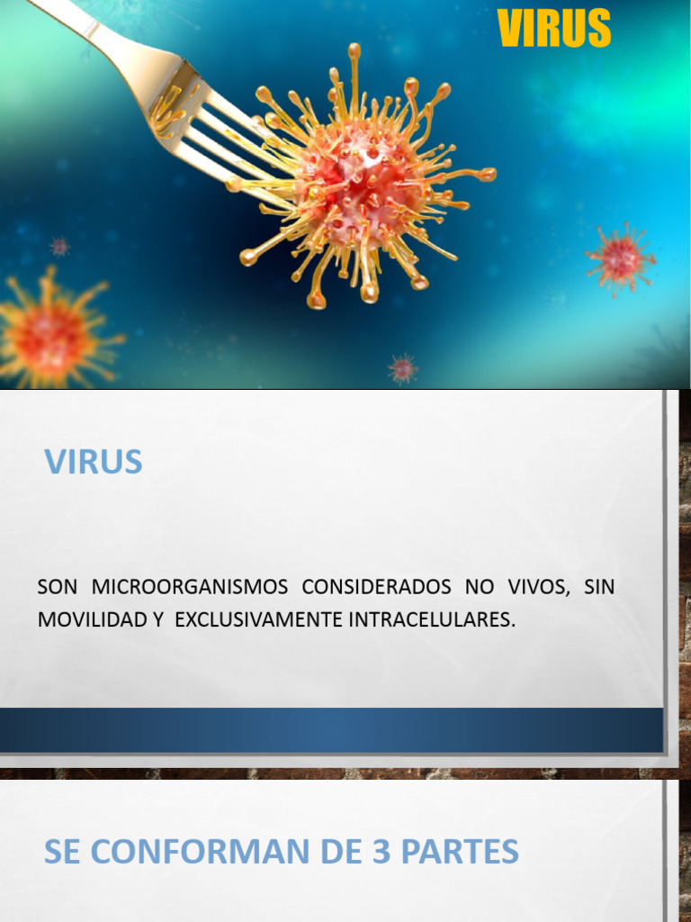 Tema 06 - Virus | PDF | Virus | Alimentos