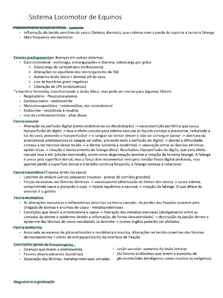Sistema Locomotor Equinos | PDF