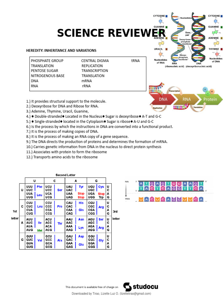 Science 10 Reviewer 4th Grading | PDF | Gases | Rna