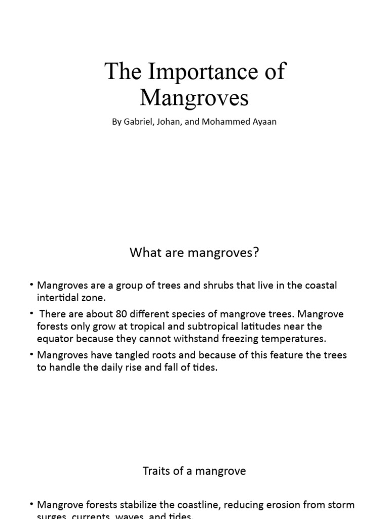 The Importance of Mangroves | PDF