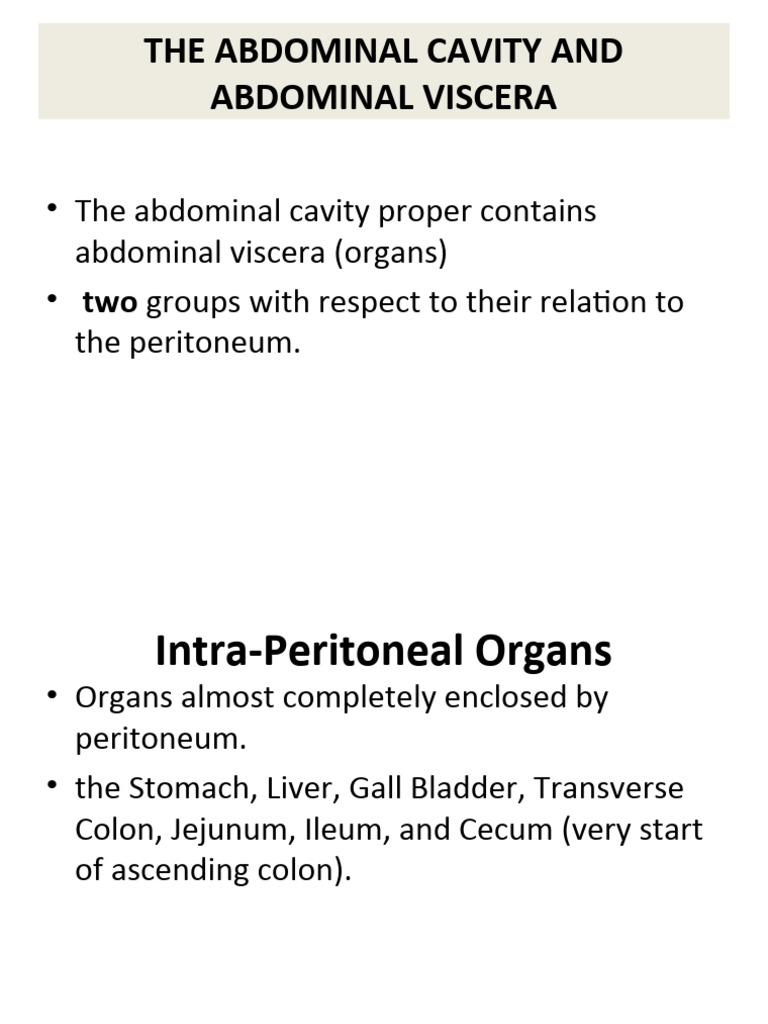 Abdo. Viscera | PDF | Liver | Esophagus