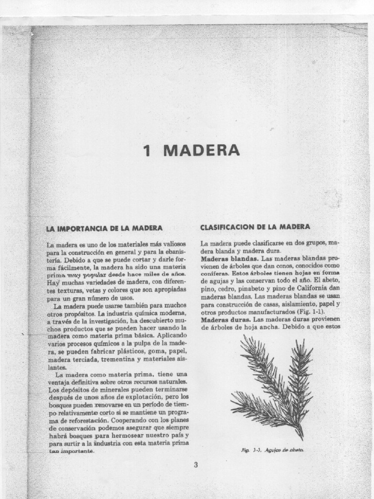 Madera | PDF