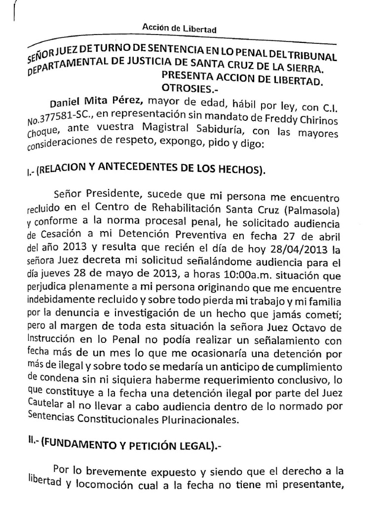 Modelos de Memoriales de Acción de Libertad | PDF