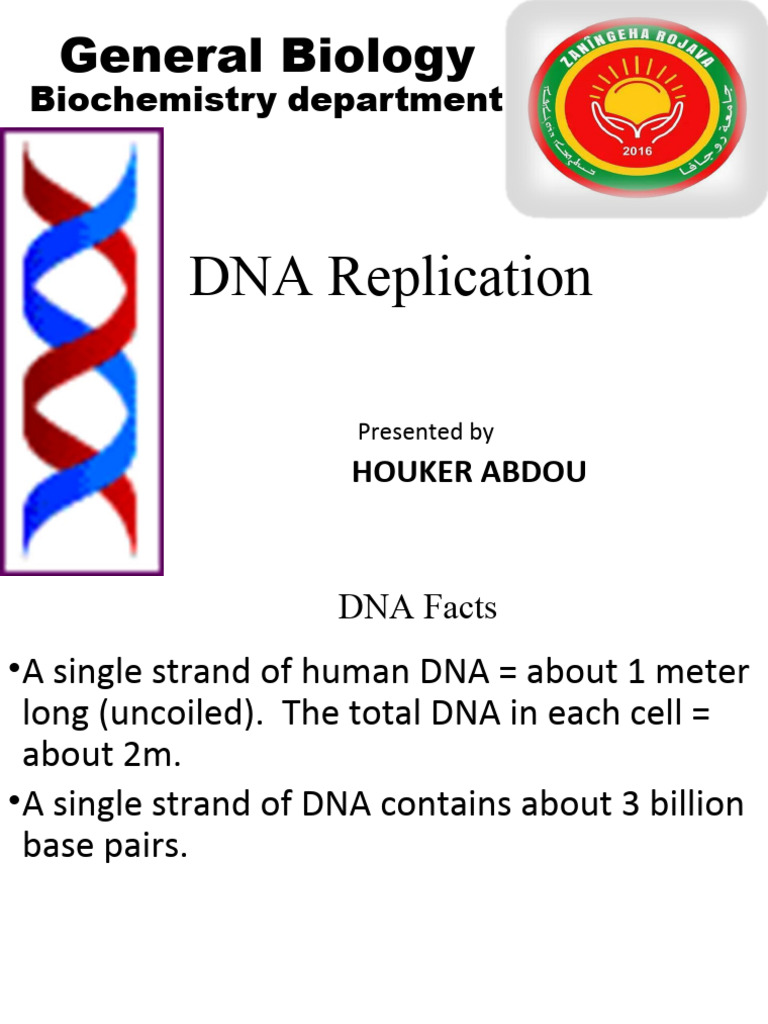 Dna Structure and Replication [Autosaved] | PDF
