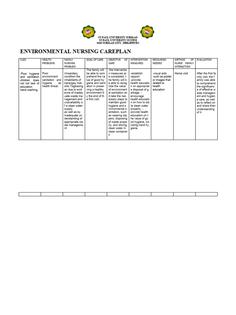 Maam Carmel Envi NCP 2 | PDF | Sanitation | Hygiene