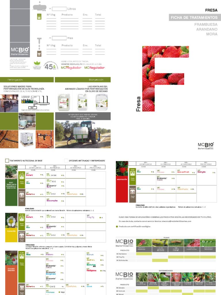 Huerto Fruto - Fresa | PDF