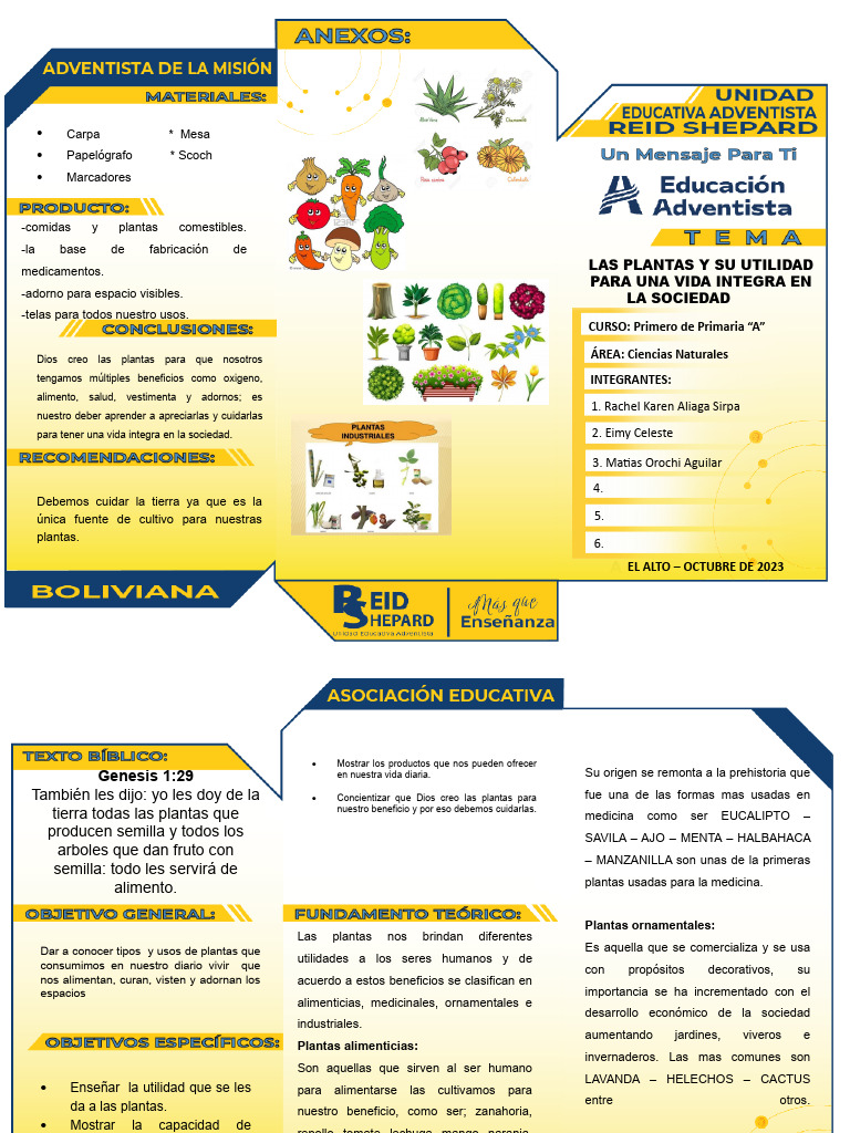 Triptico Matias | PDF | Plantas | Alimentos