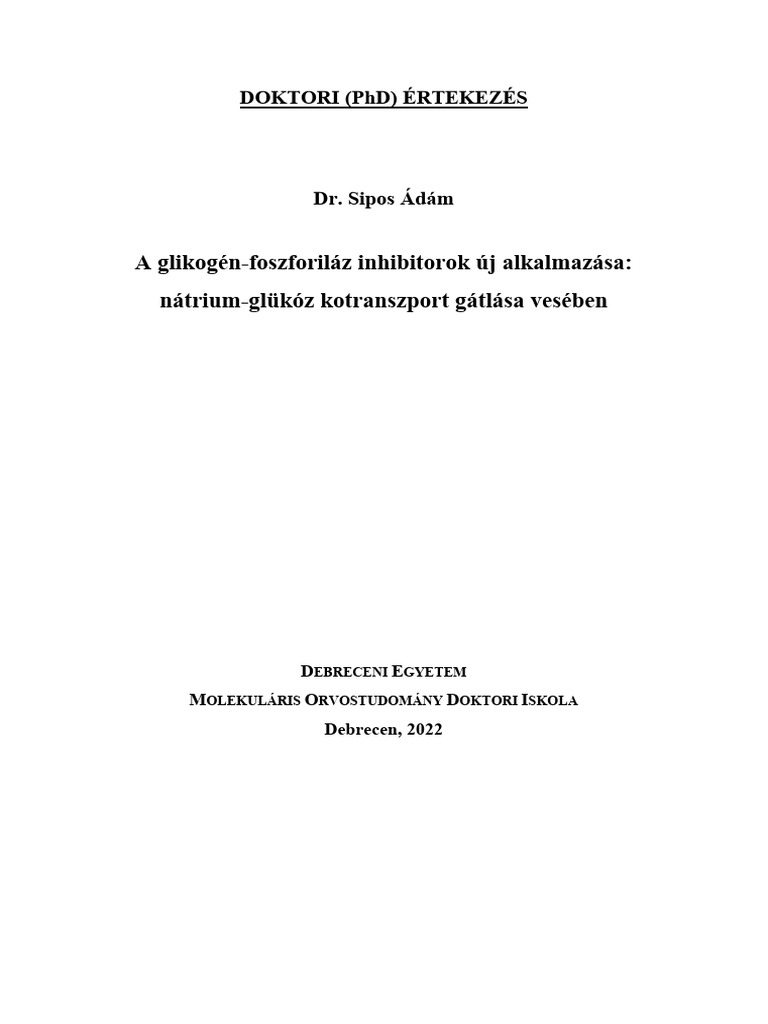 Sipos Adam Ertekezes | PDF