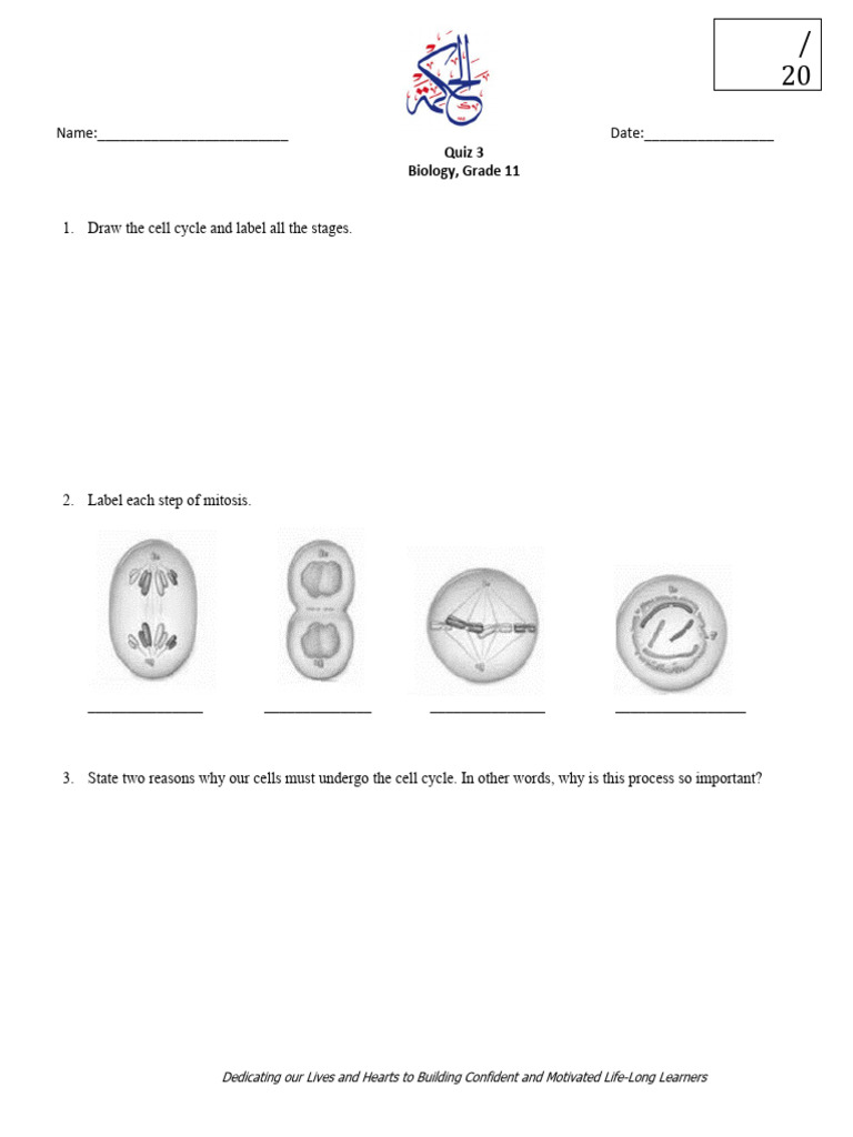 Grade 11 Biology Quiz | PDF