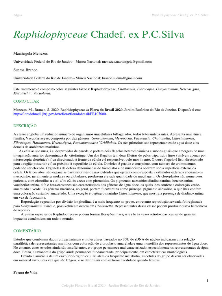 Raphidophyceae | PDF | Célula (Biologia) | Biologia