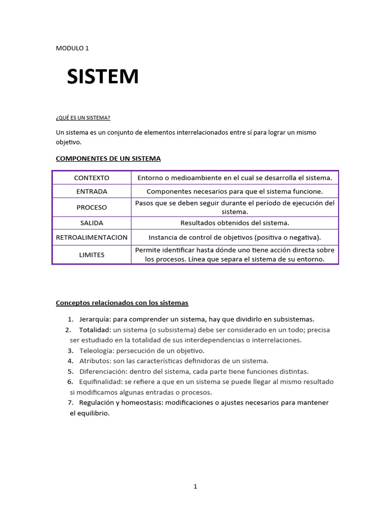 Resumen Modulo 1 Sio | PDF | Sistema | Gestión de recursos humanos