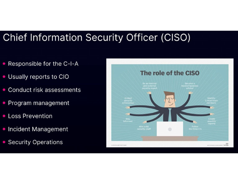 Ciso Reponsibility Domain 1 | PDF