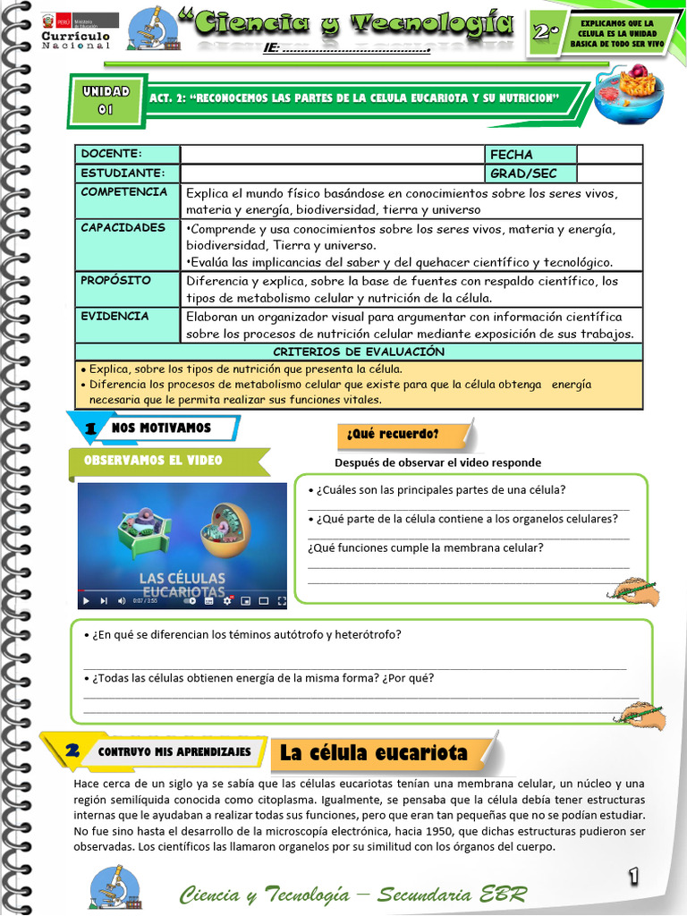 B2º Act 2 Cyt Unid 1 - Sem 2 | Descargar gratis PDF | Citoplasma | Biología Celular)