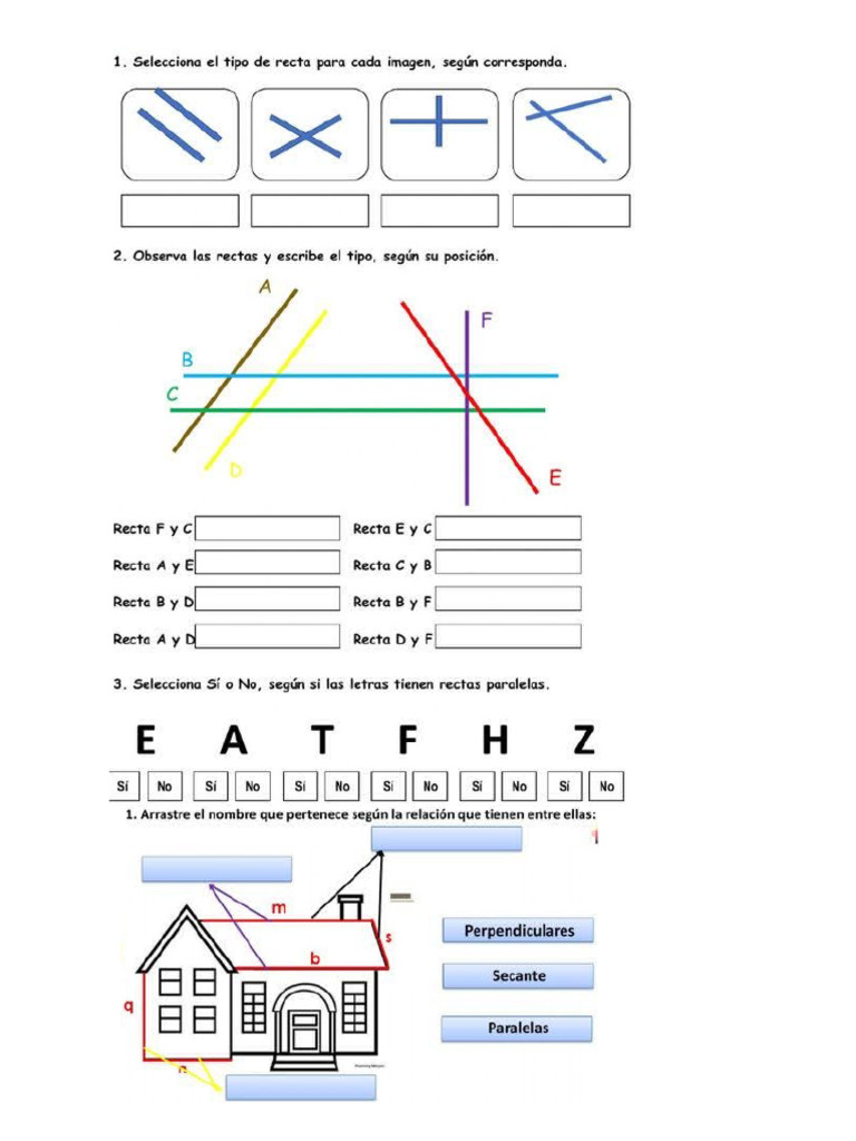 TIPOS DE RECTAS | PDF
